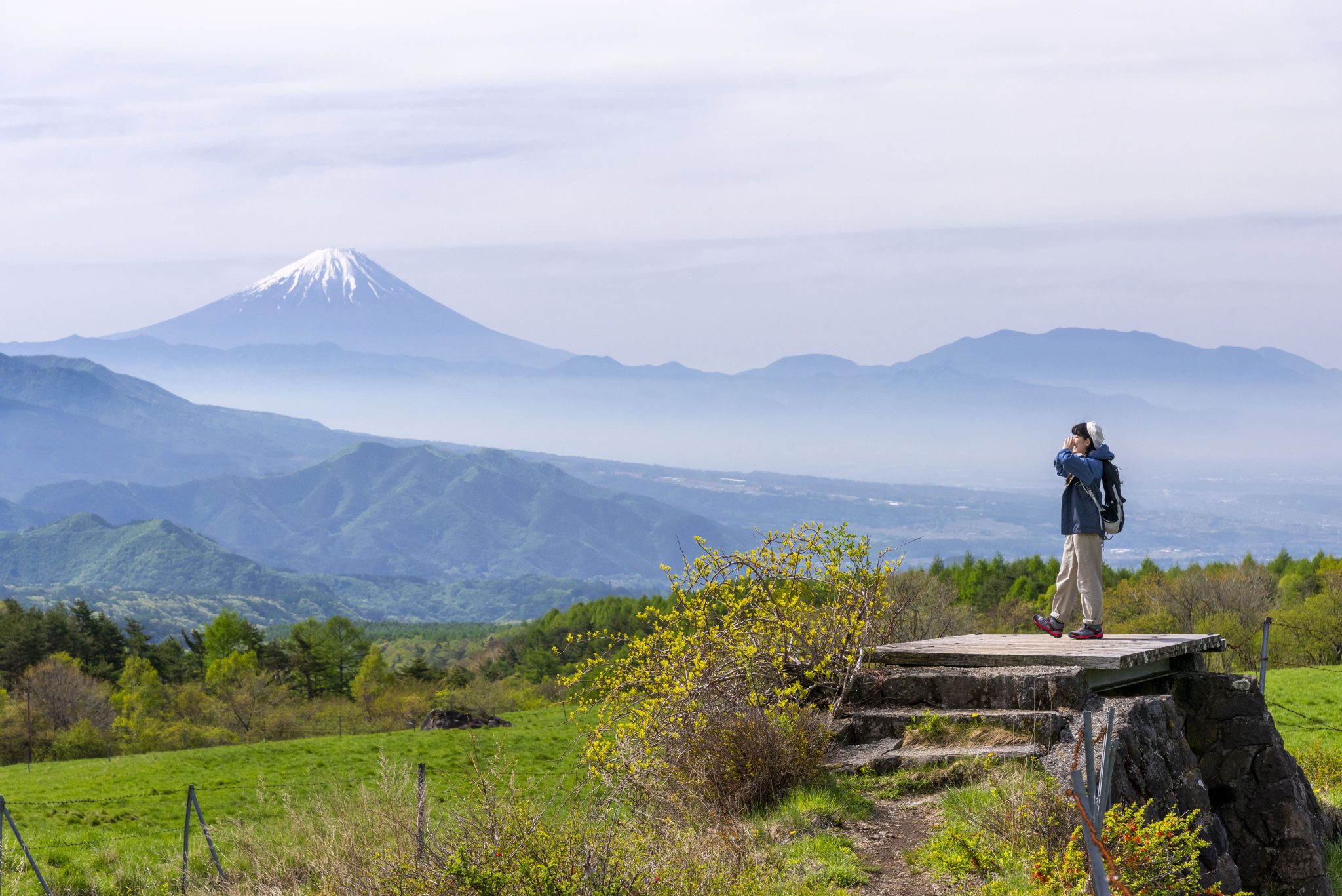 HOKUTO CITY, YAMANASHI PREFECTURE - NIPPON HAKU BANGKOK